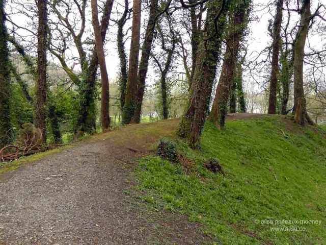 Looking for Brian Ború – Killaloe | Where's my backpack?