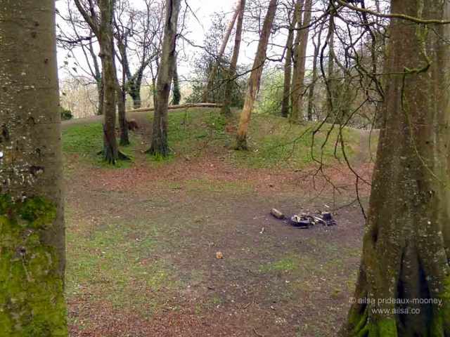 Looking for Brian Ború – Killaloe | Where's my backpack?